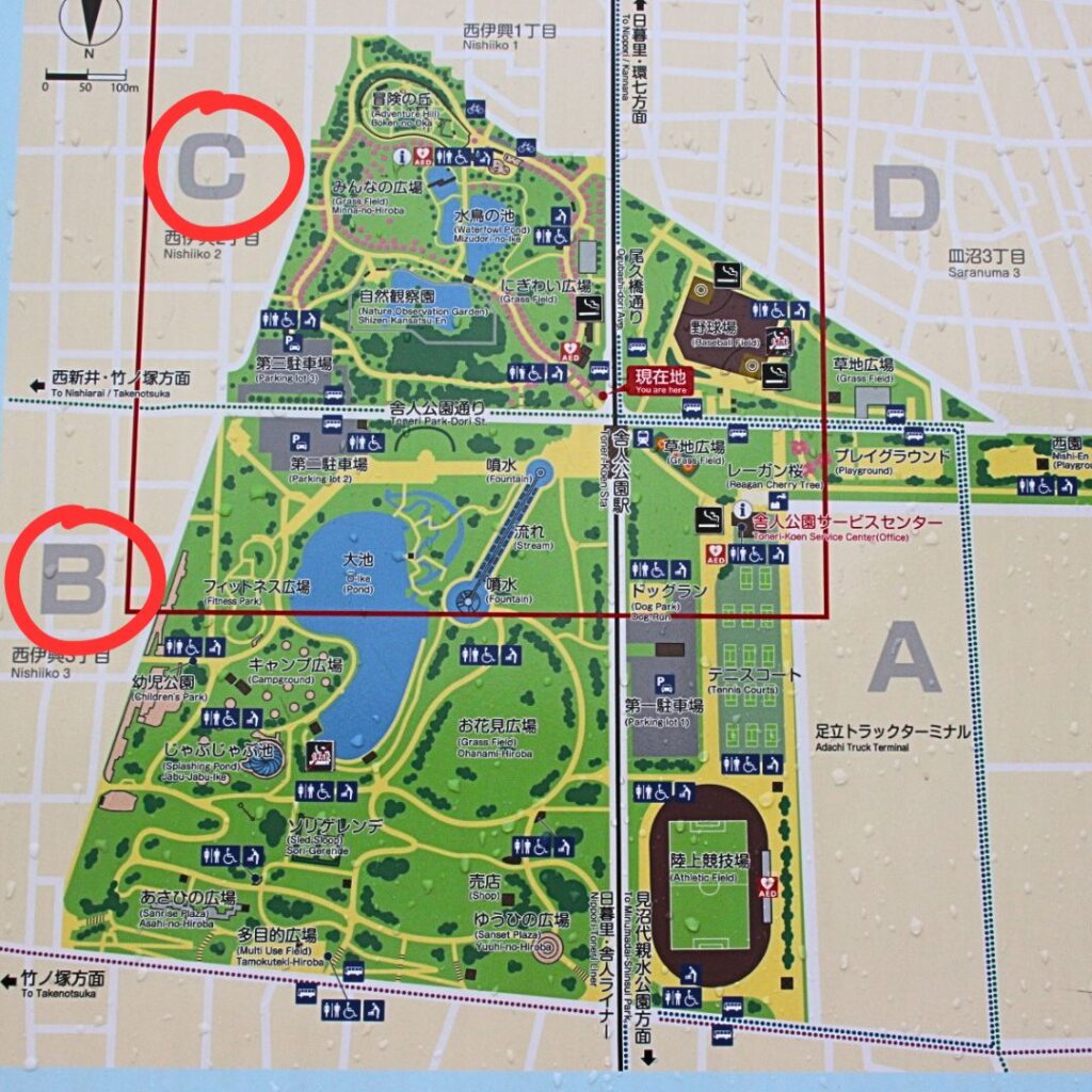 TONERI PARK – A Daylong Playground of Joy for Kids | Adachi, Tokyo ...