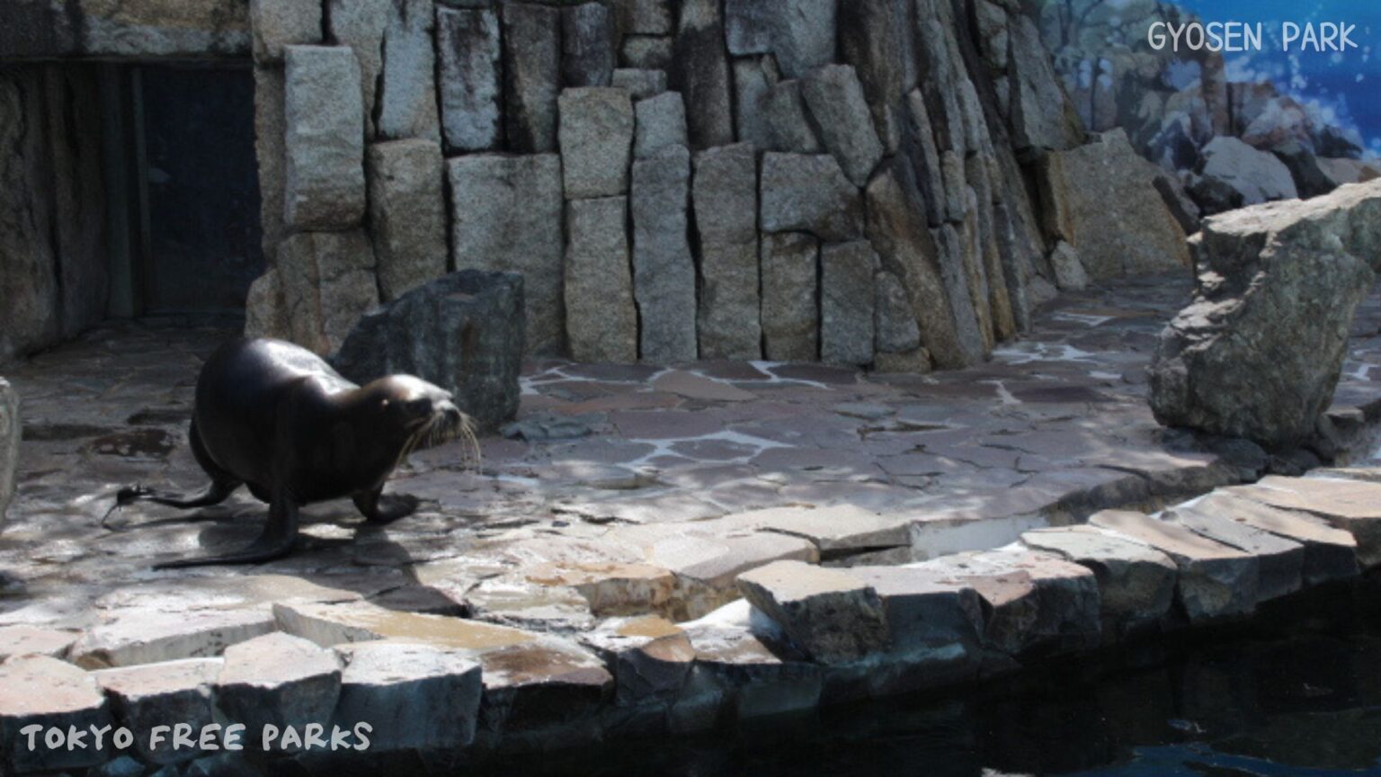 GYOSEN PARK – A Paradise with a Zoo and Japanese Garden | Edogawa ...