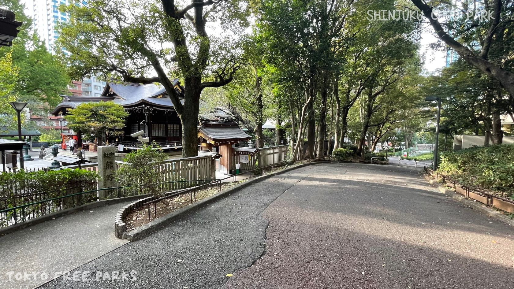 SHINJUKU CHUO PARK – An Oasis in the Midst of Metropolitan Tokyo ...