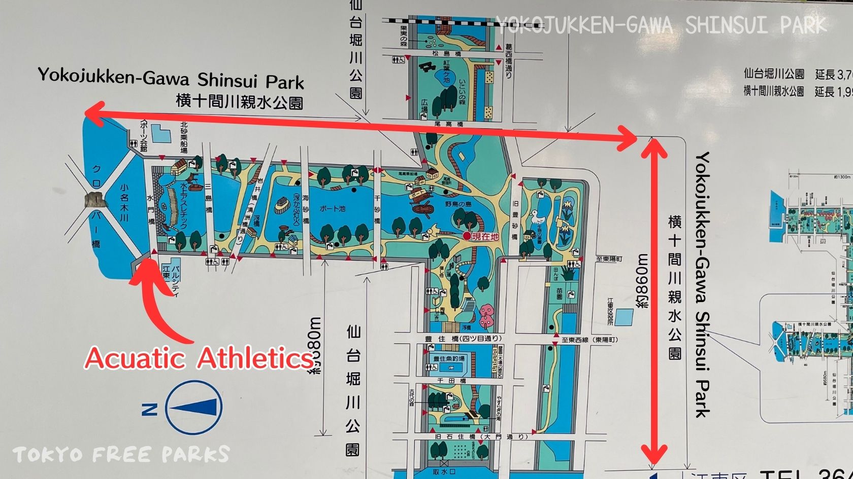 YOKOJUKKEN-GAWA SHINSUI PARK – Year-Round Fun with Aquatic Athletics ...